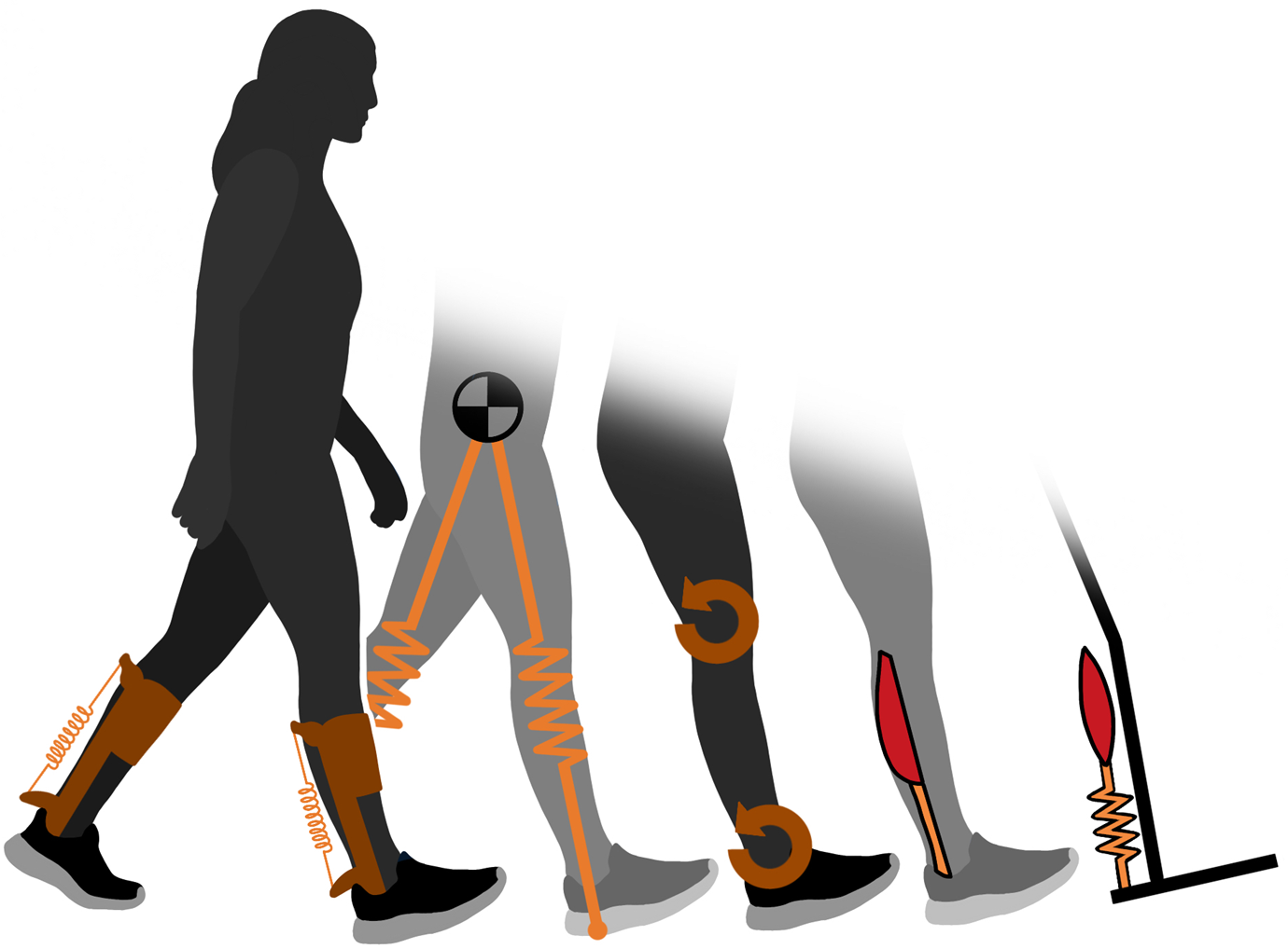 Human Locomotion Lab